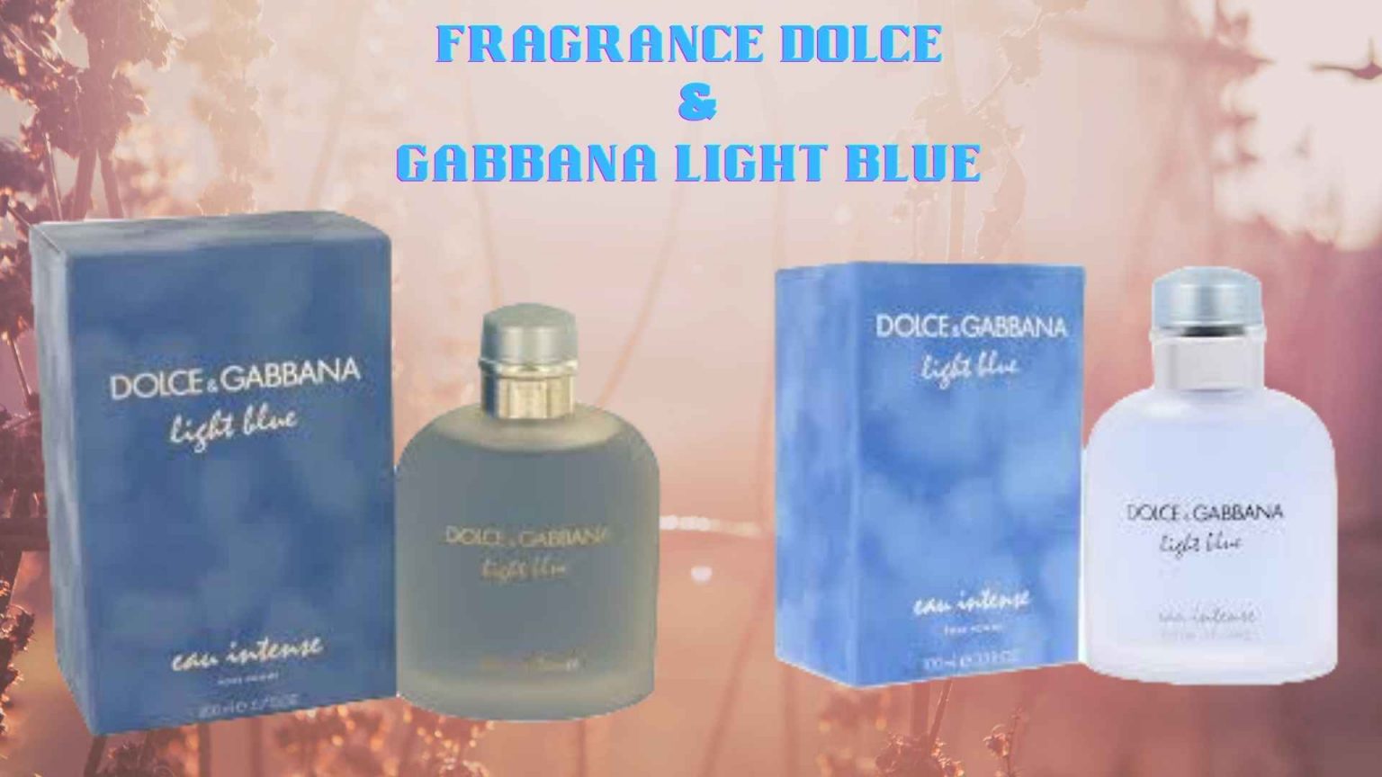 Best Fragrance Dolce And Gabbana Light Blue Dossier co/2k22